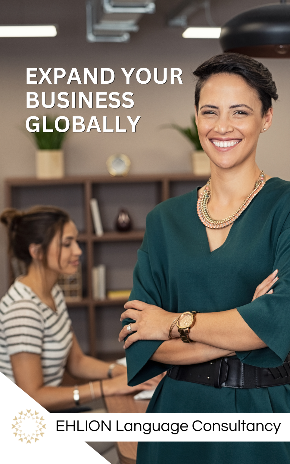 The language translation process - Explained step by step | EHLION